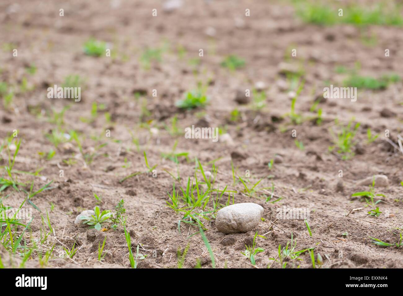 Deep sky wide field hi-res stock photography and images - Alamy