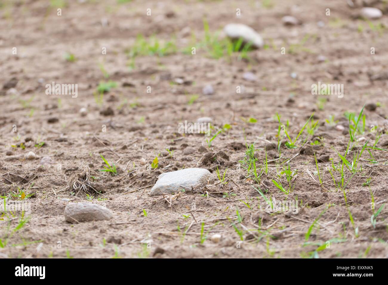 Field of rocks hi-res stock photography and images - Alamy