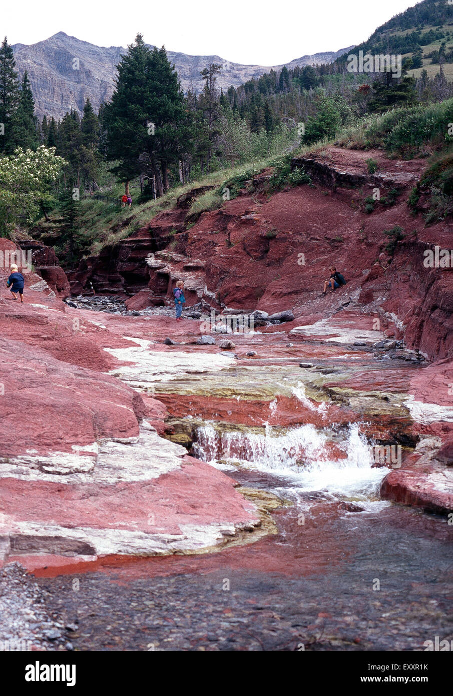 Red rock canyon waterton lakes hi-res stock photography and images - Alamy