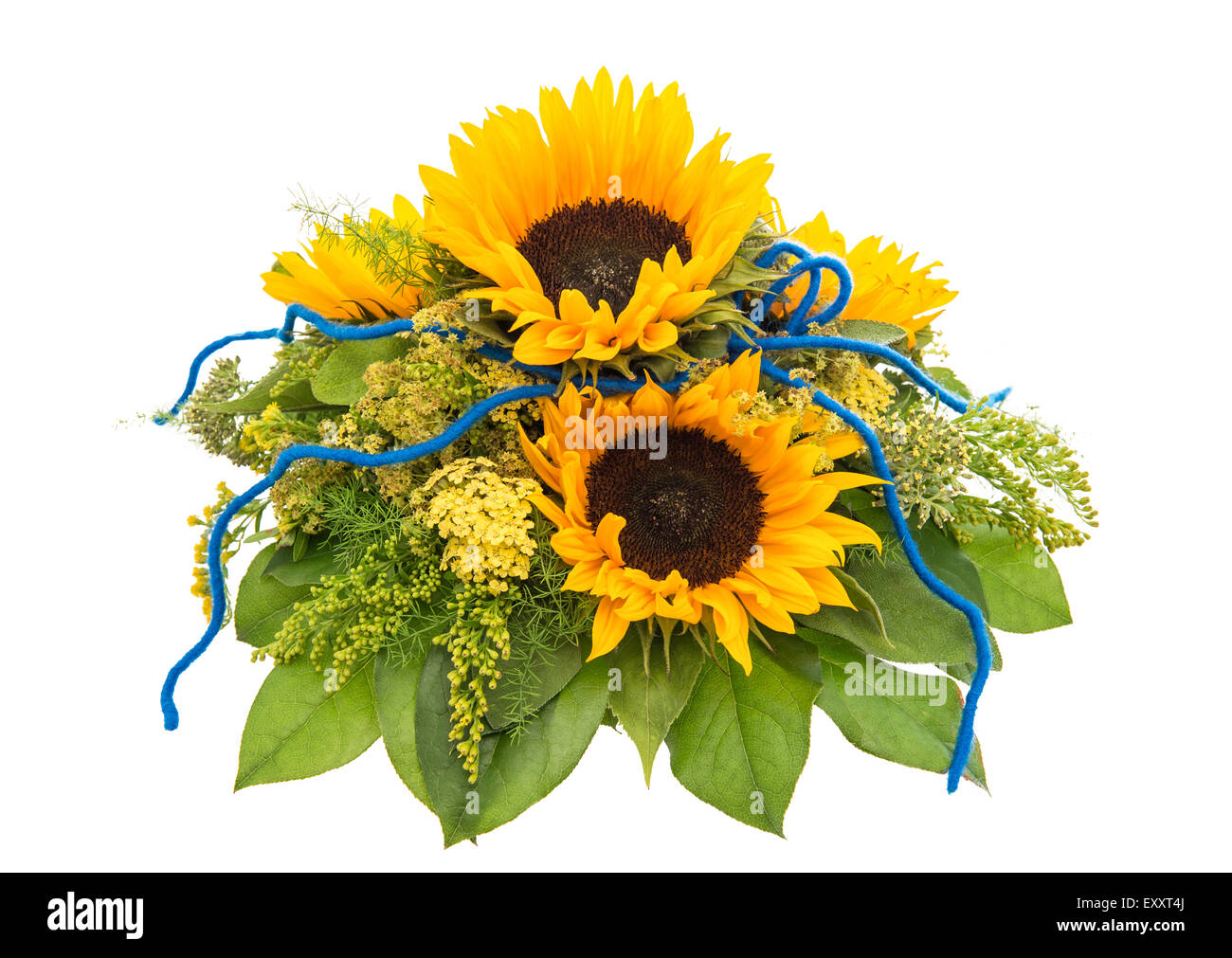 Colorful fresh sunflowers bouquet over white background. Festive ...