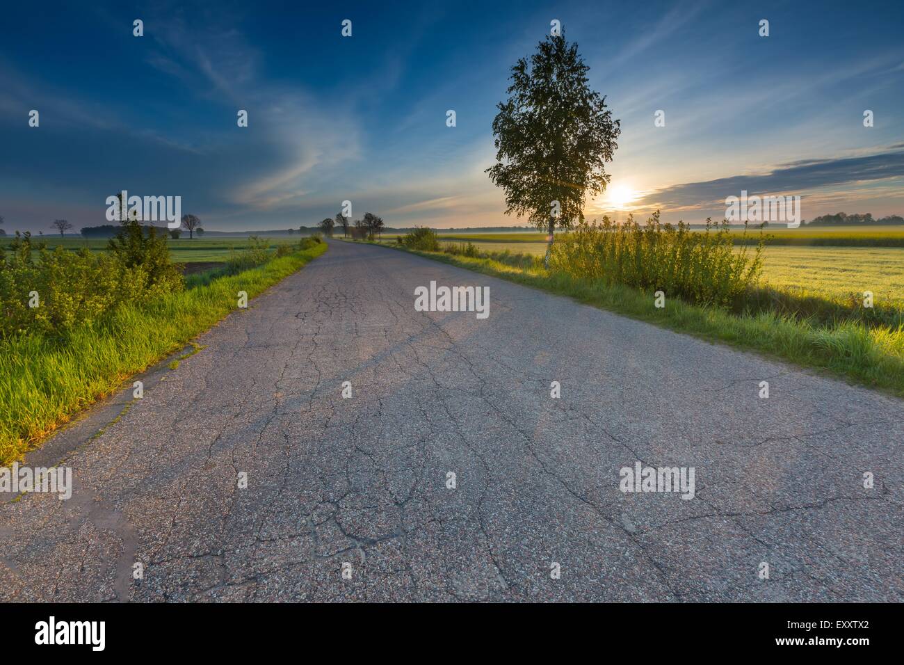 Roadway country road springtime wheat fields green hi-res stock ...