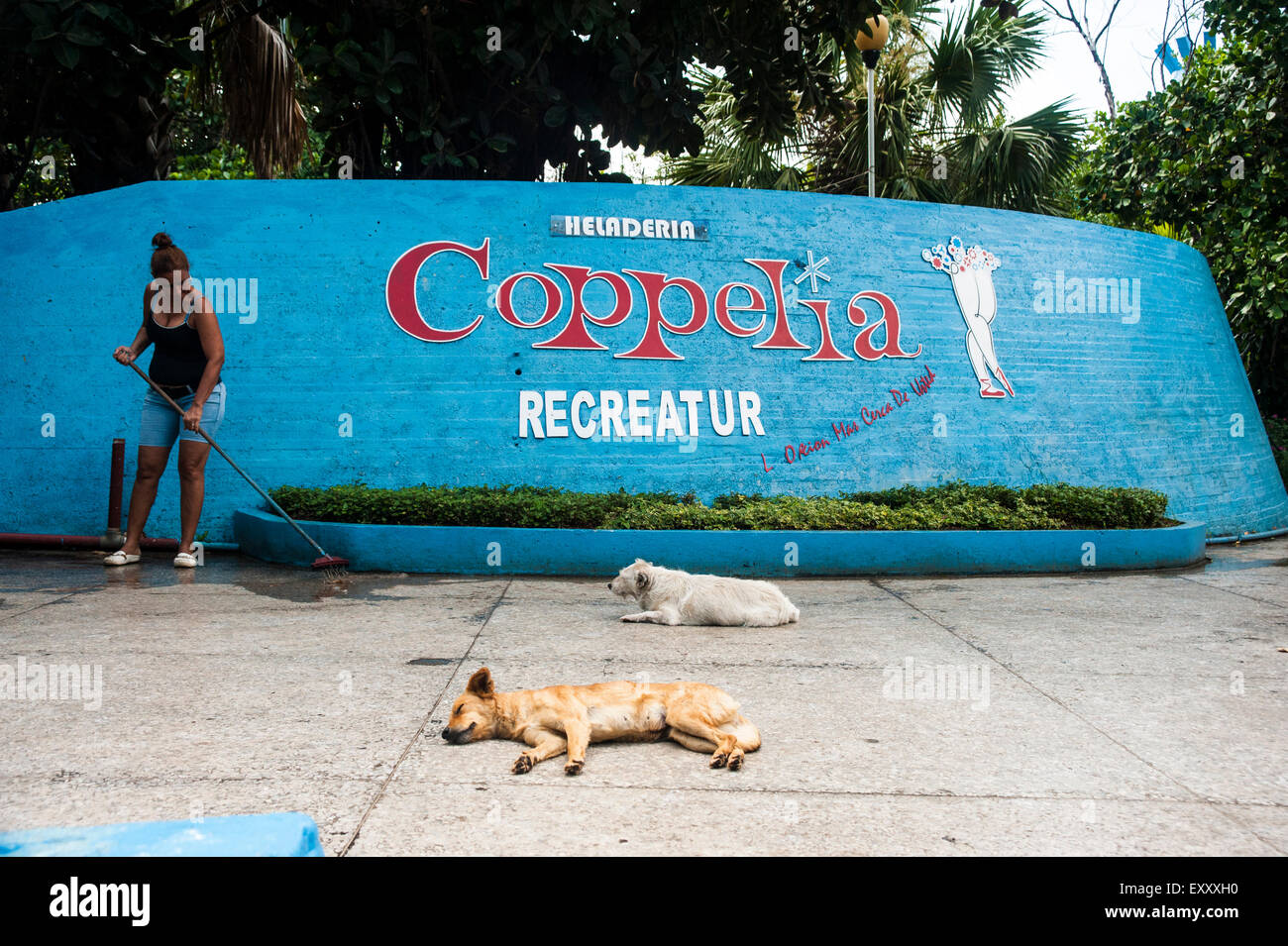 Retro woman cleaning hi-res stock photography and images - Alamy