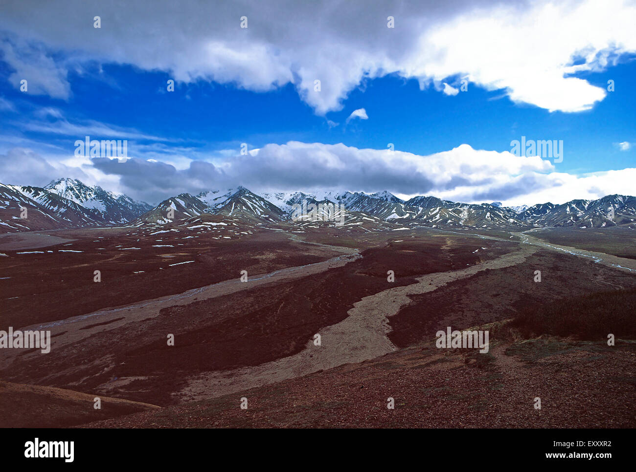 Alaska Range,Denali National Park Stock Photo - Alamy