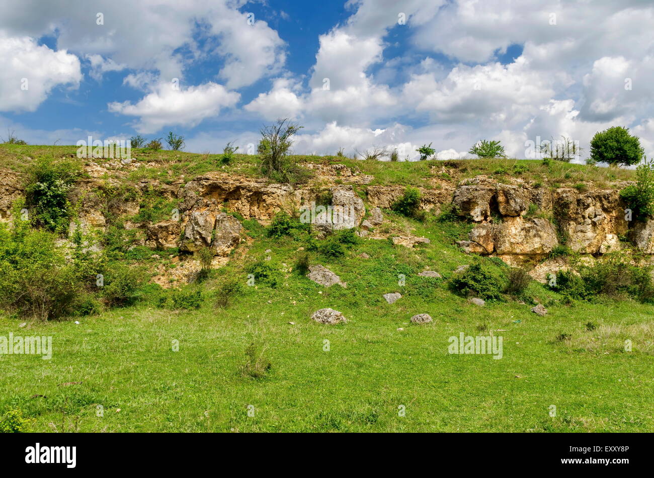 Rock with field background hi-res stock photography and images - Alamy