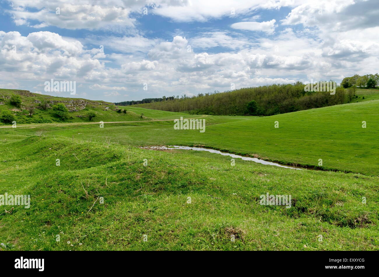 Background of field with grass, bush and trees , Zavet, Bulgaria Stock ...