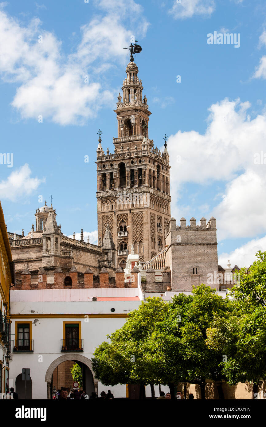 Bell Tower of Seville Cathedral, viewed from Royal Alcazar,centre of ...