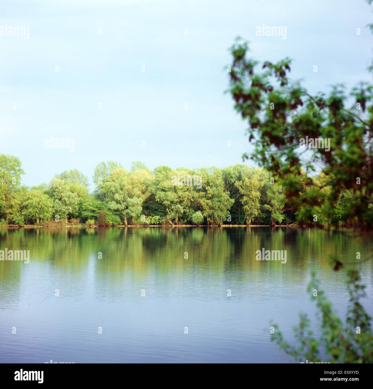 Landscape with river Stock Photo - Alamy