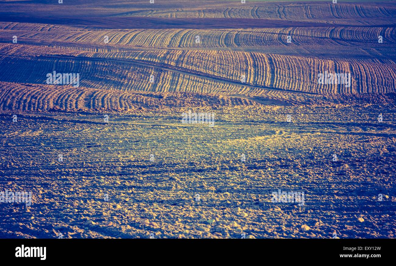 Vintage photo of plowed field in calm countryside. Agricultural ...