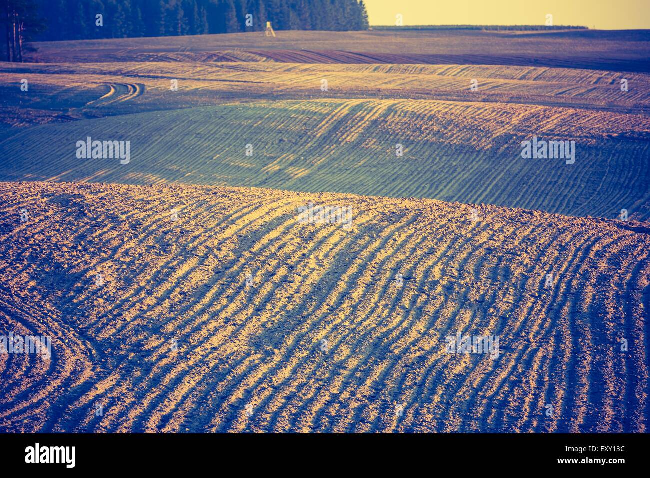 Vintage photo of plowed field in calm countryside. Agricultural ...