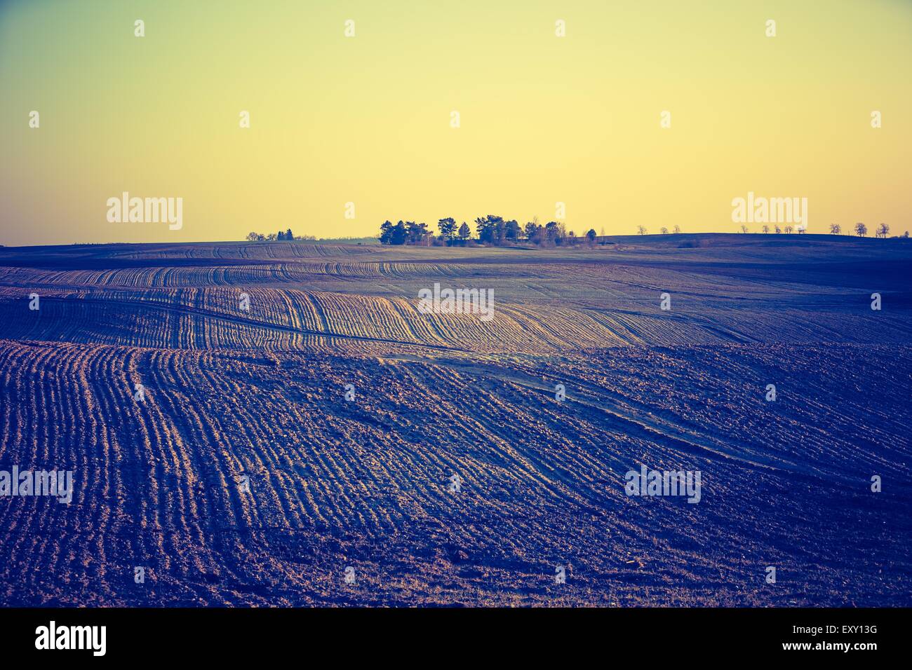 Vintage photo of plowed field in calm countryside. Agricultural ...