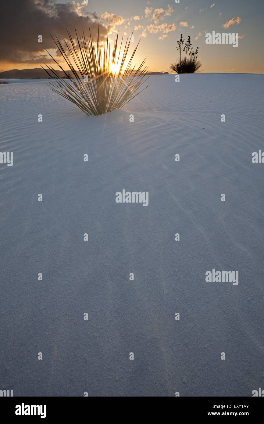 White Sands National Monument, New Mexico, USA Stock Photo - Alamy