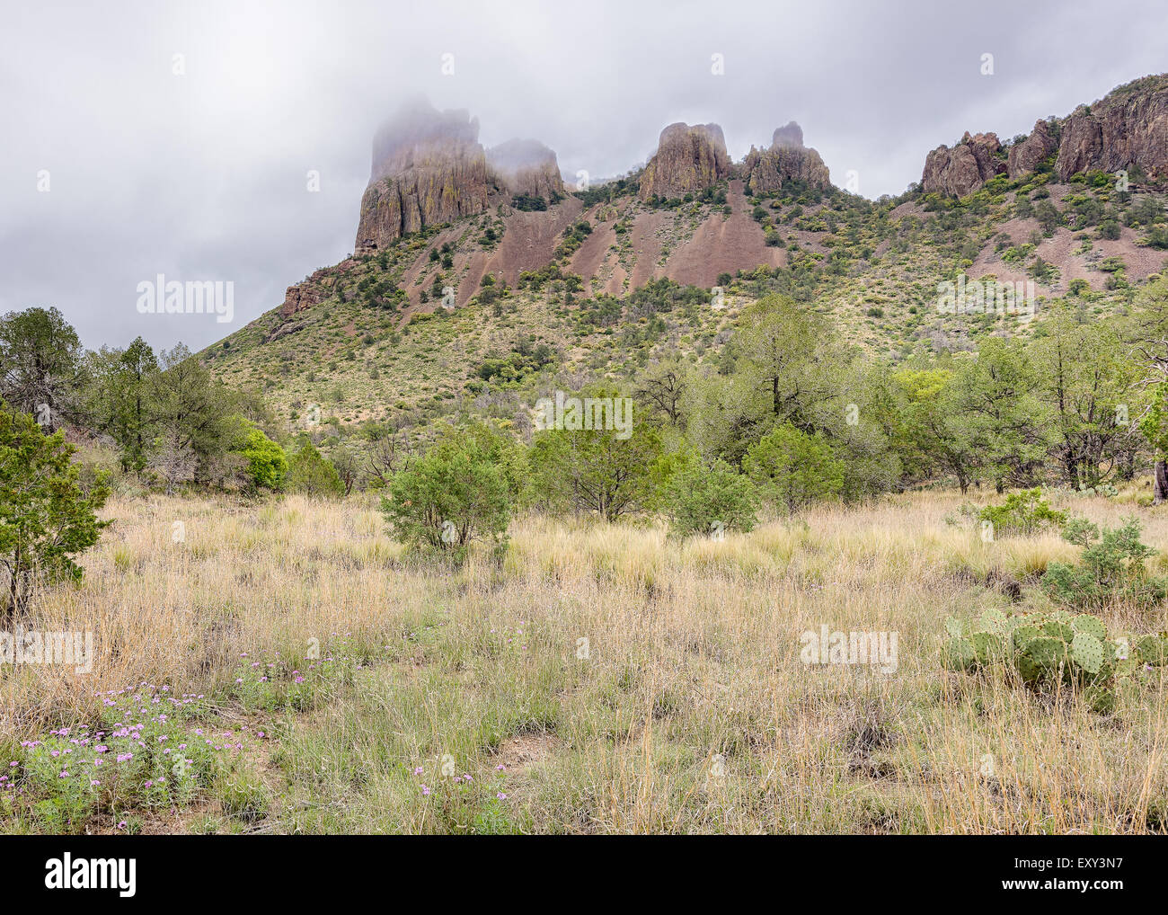 Emory peak big bend national park hi-res stock photography and images ...