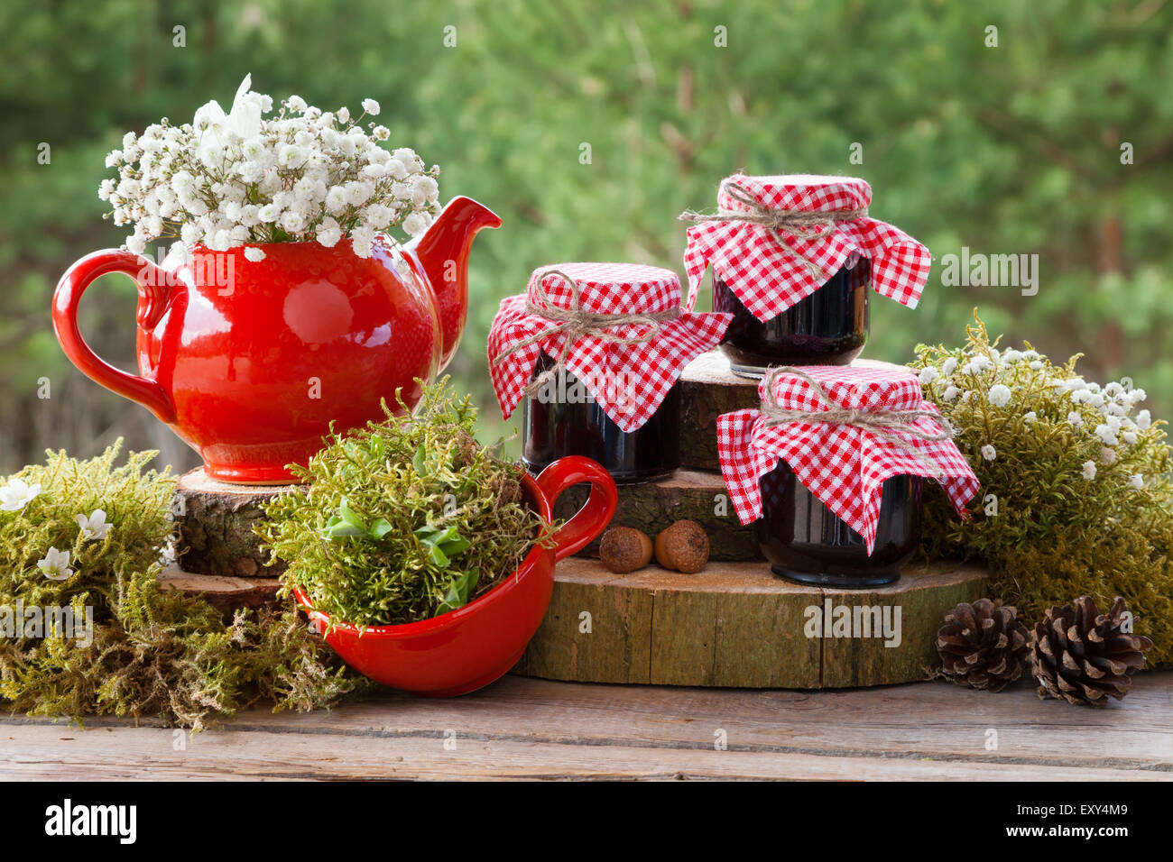 Red teapot, tea cup and jars of healthy jam. Forest on background Stock ...