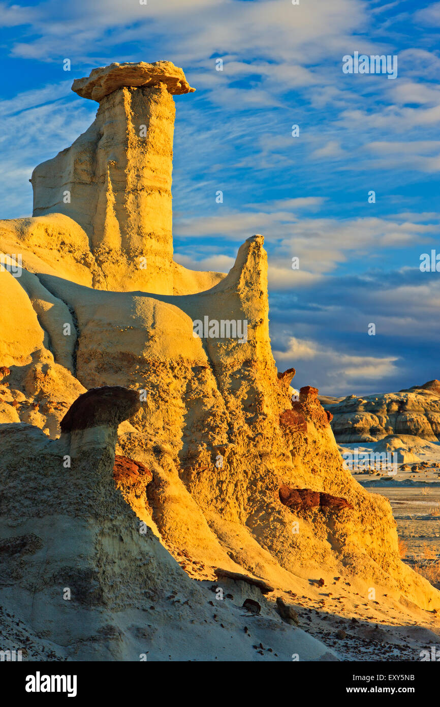 Bisti & De Na Zin Wilderness, New Mexico, USA Stock Photo - Alamy