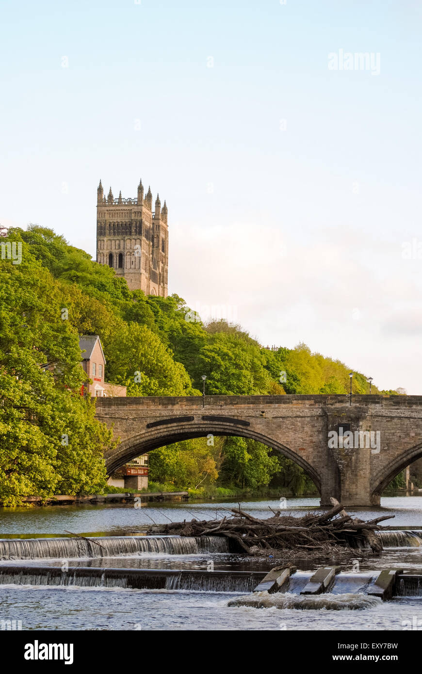 Durham riverbank hi-res stock photography and images - Alamy