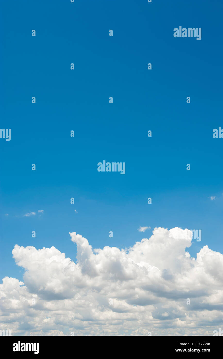 Natural skyscape background of classic bright blue sky with puffy white ...