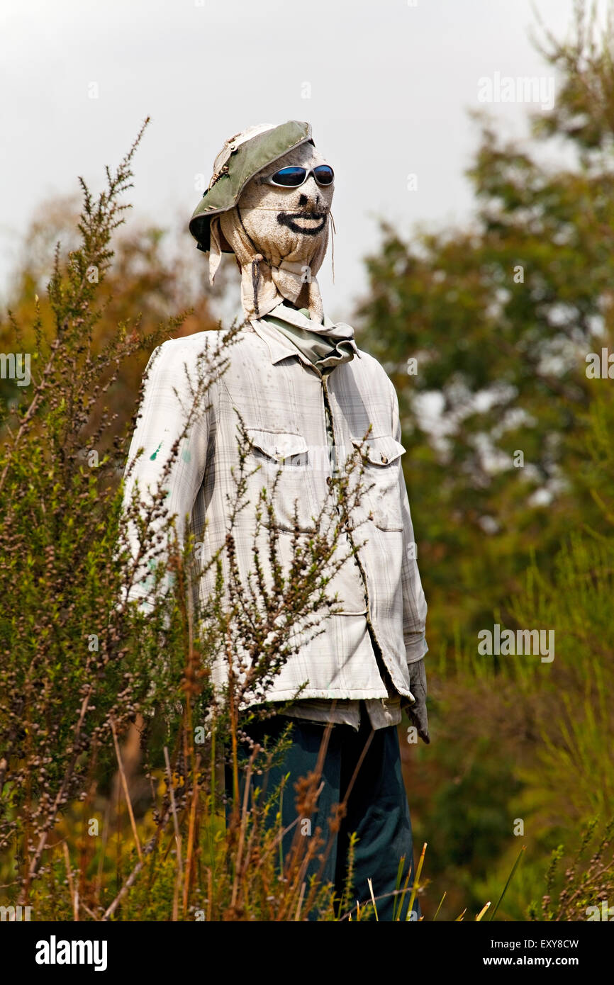 Ballarat District Australia / Ballarat Gardens in Spring 2014 Stock ...