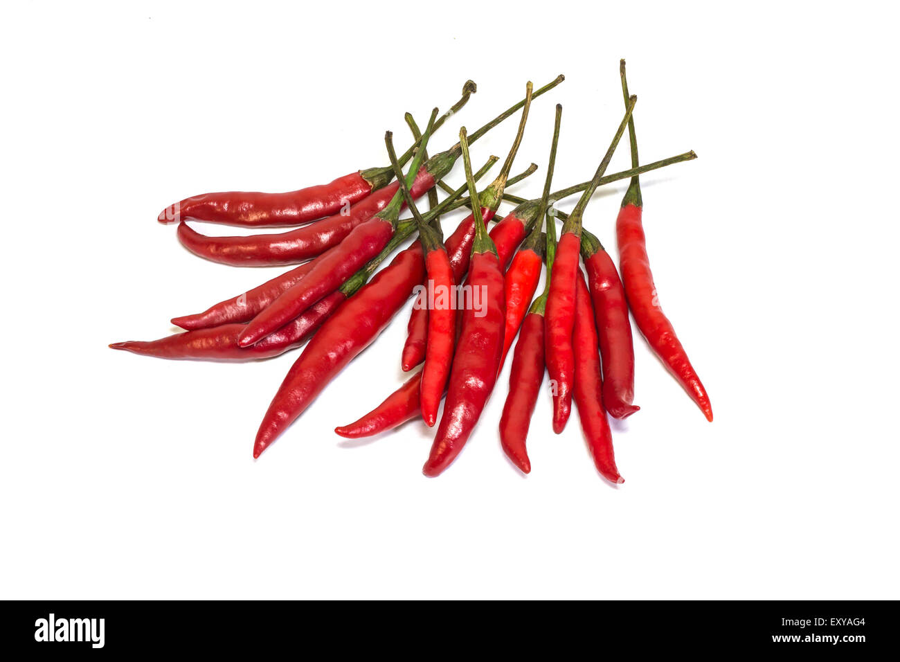 red hot chilli Stock Photo - Alamy