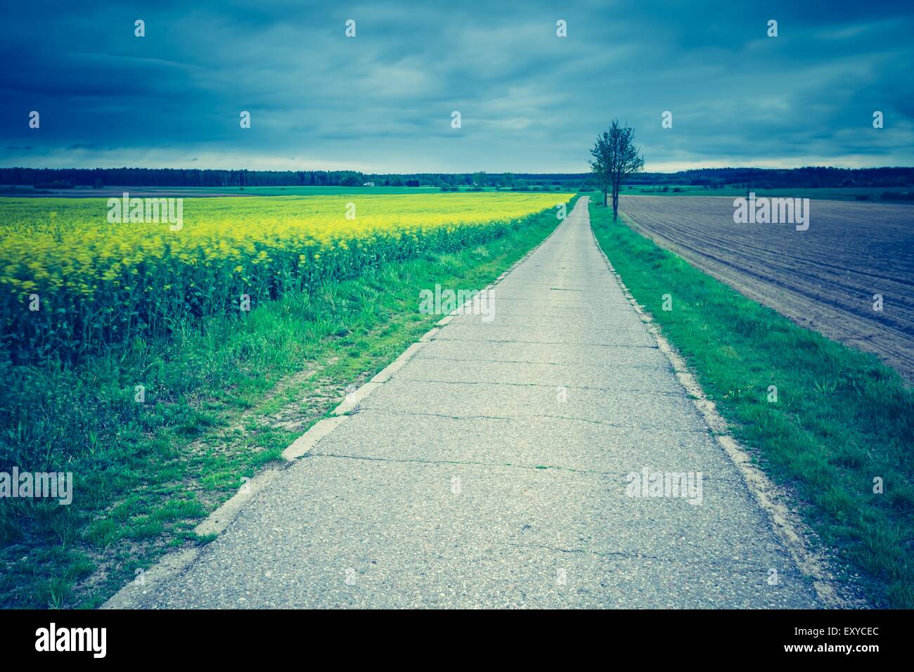 Vintage photo of rural asphalt road near fields in springtime. Calm ...