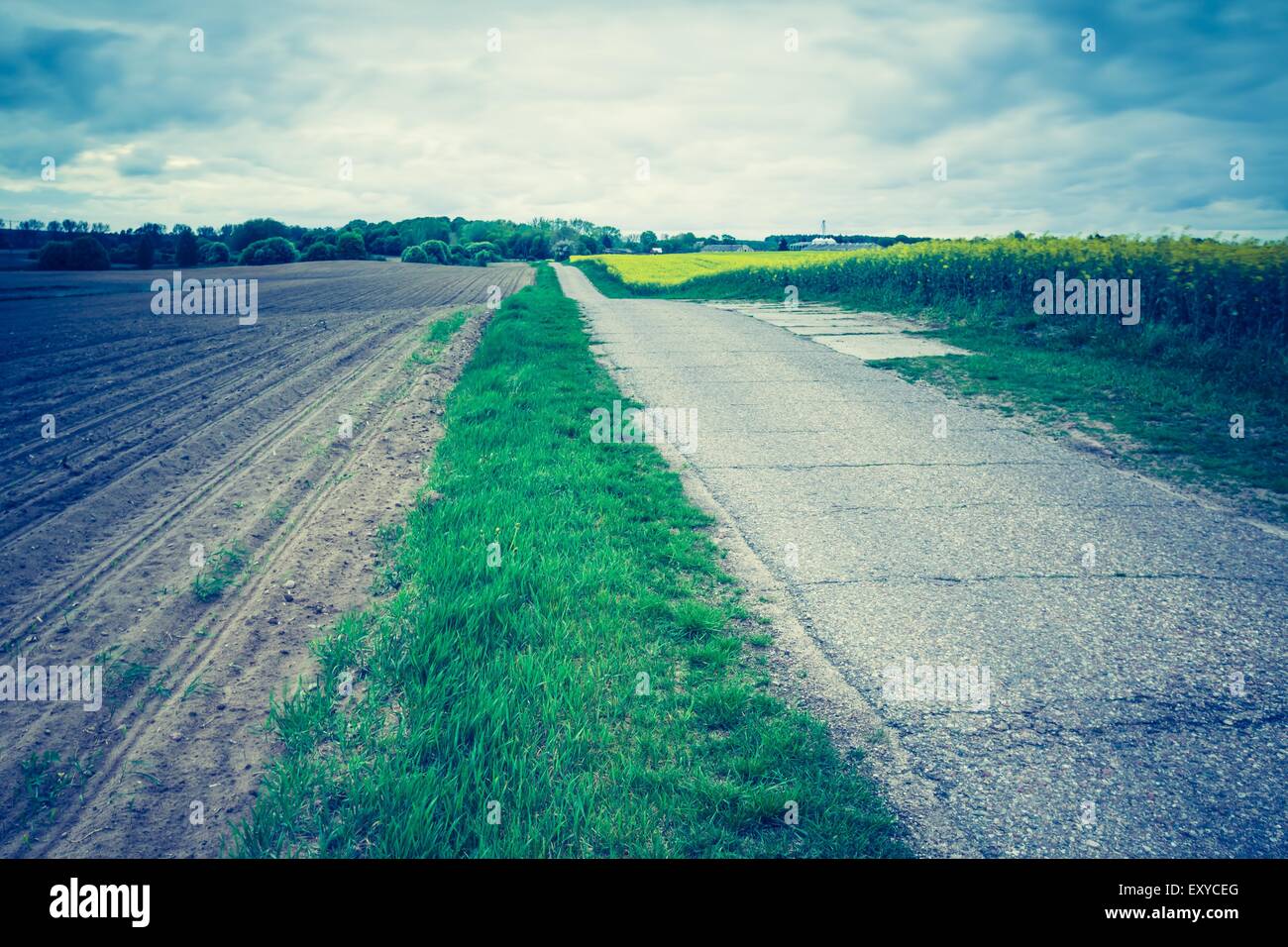 Vintage photo of rural asphalt road near fields in springtime. Calm ...