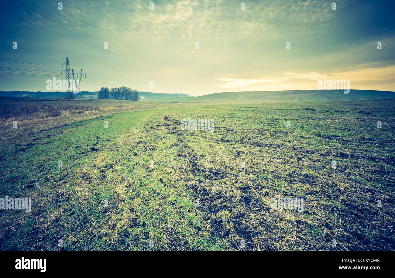 Vintage photo of dry grass field. Photo with old colors mood.Cultivated ...