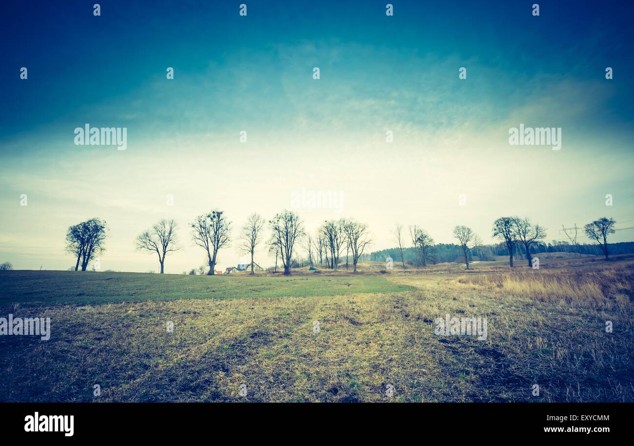 Vintage photo of dry grass field. Photo with old colors mood.Cultivated ...