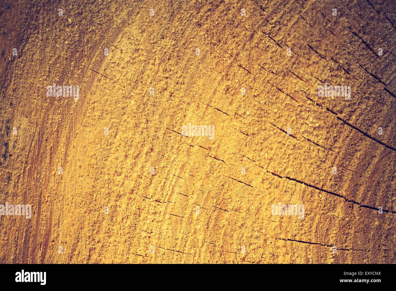 Vintage photo of background of sliced tree trunk. Close up of tree ...
