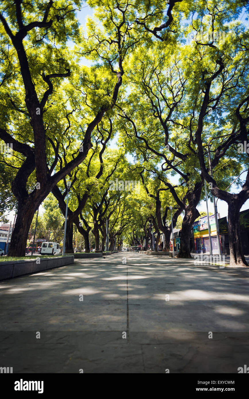 Wood pavement hi-res stock photography and images - Alamy