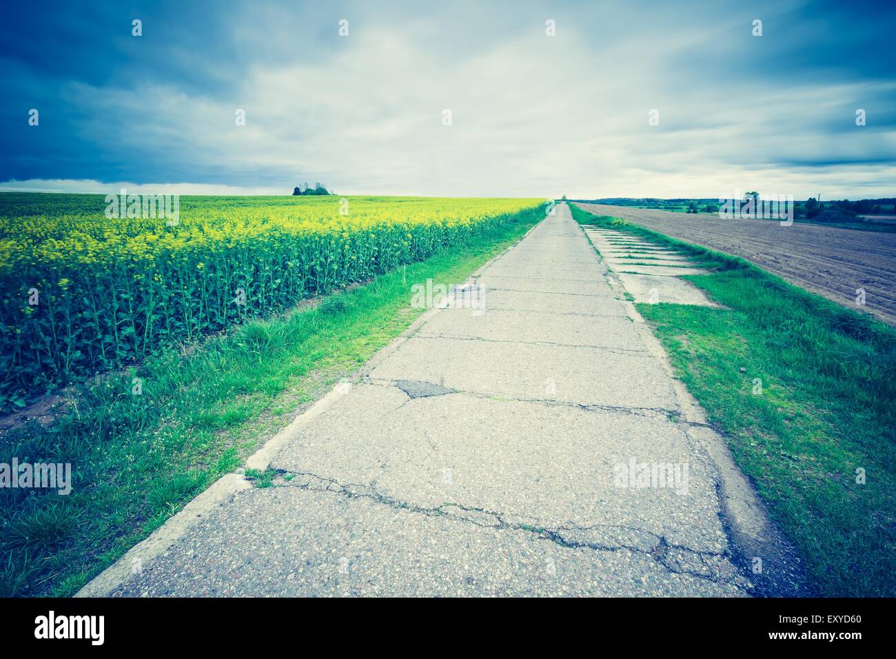 Vintage photo of rural asphalt road near fields in springtime. Calm ...