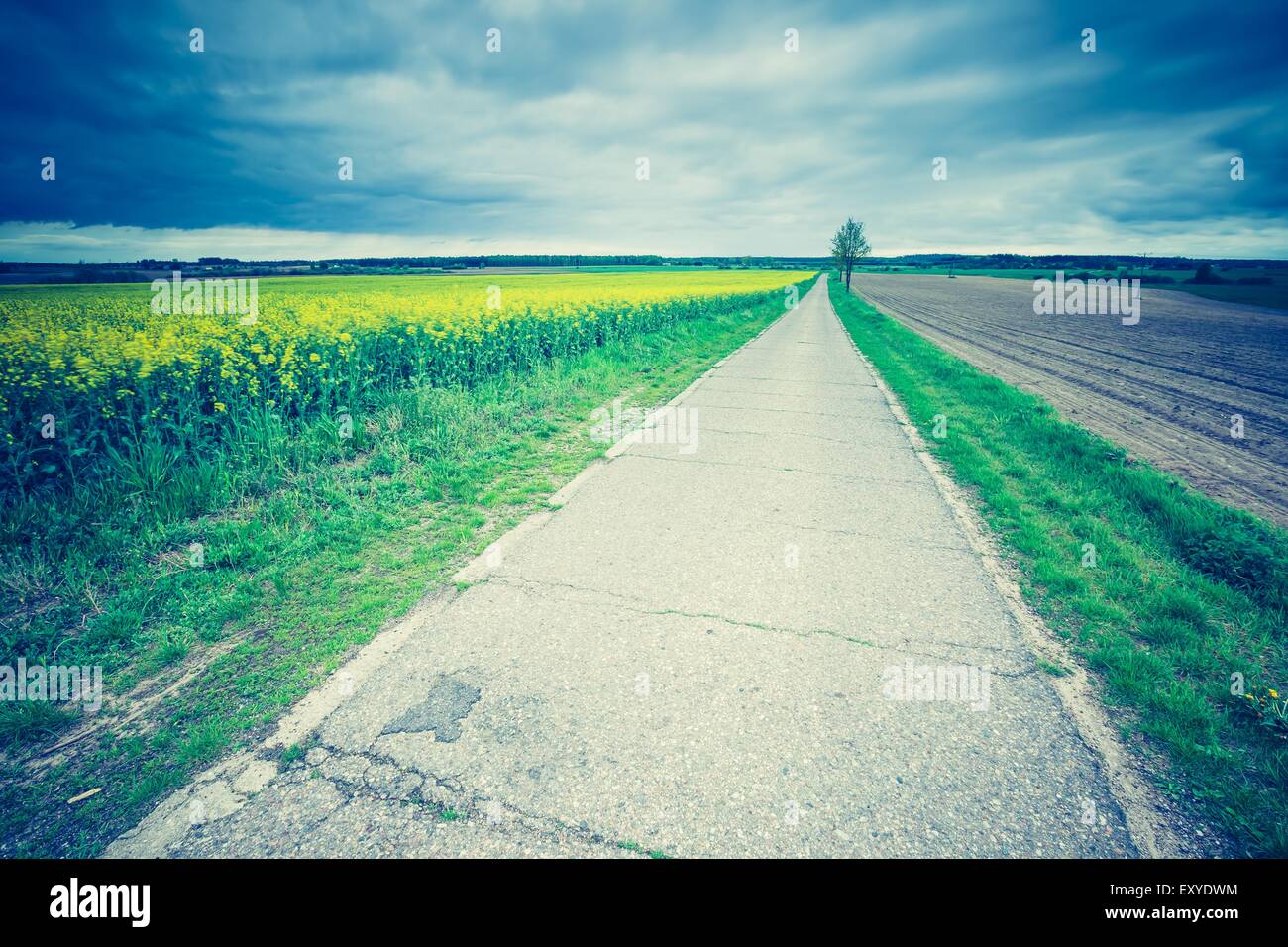 Vintage photo of rural asphalt road near fields in springtime. Calm ...