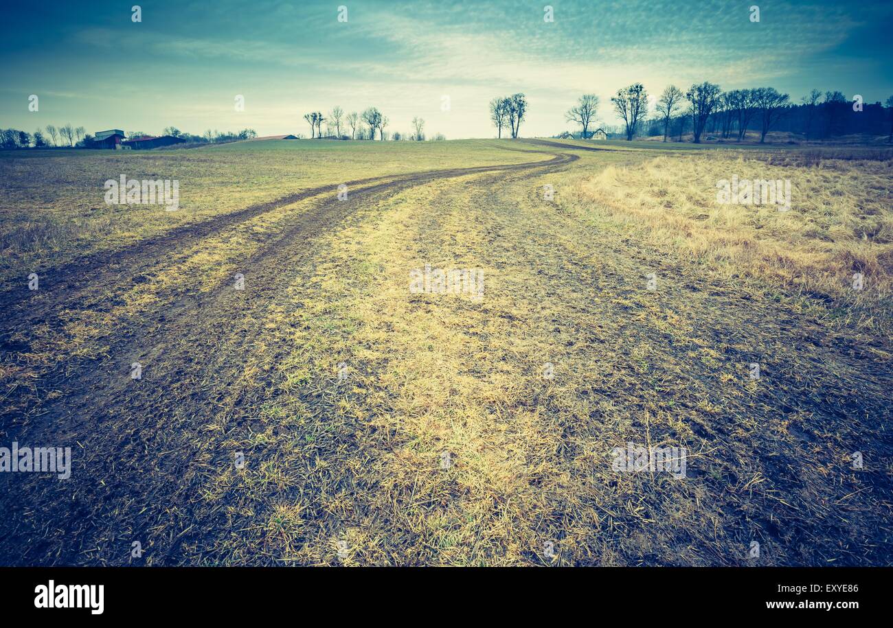 Vintage photo of dry grass field. Photo with old colors mood.Cultivated ...