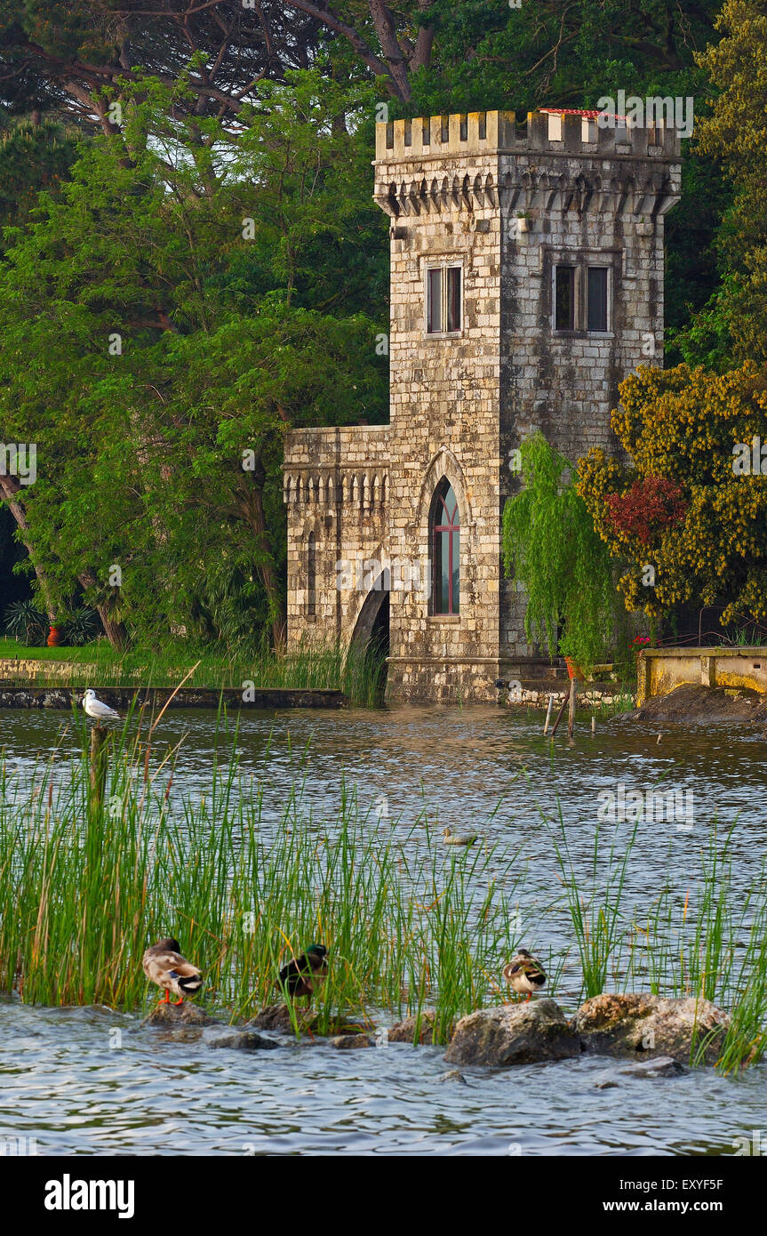 Massaciuccoli Lake, Torre del Lago Puccini, Viareggio, Lucca Province ...