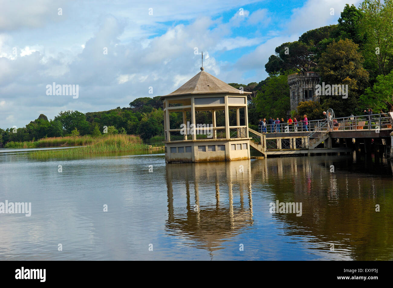 Massaciuccoli Lake, Torre del Lago Puccini, Viareggio, Lucca Province ...