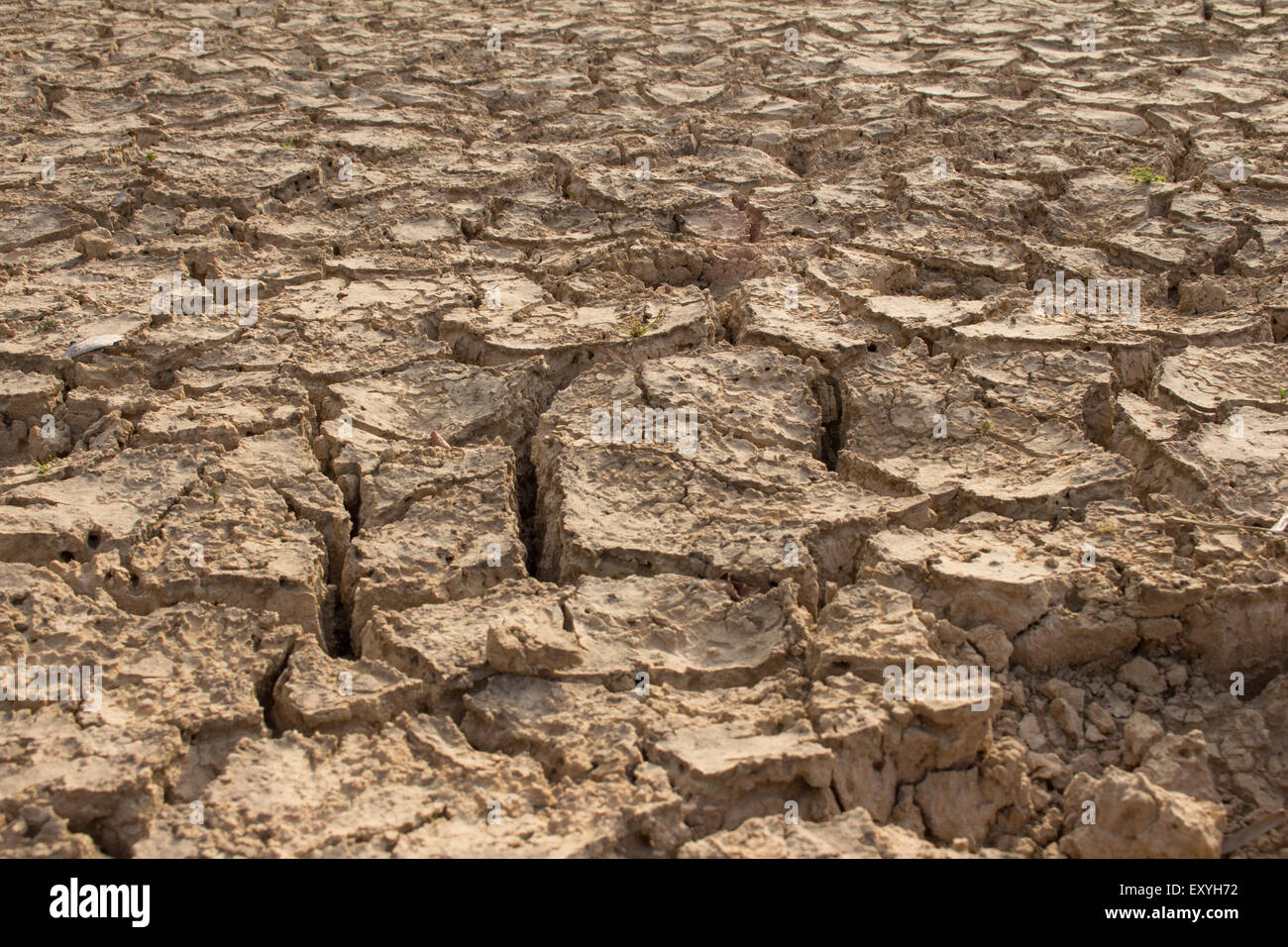 Dry cracked earth background, clay desert texture Stock Photo - Alamy