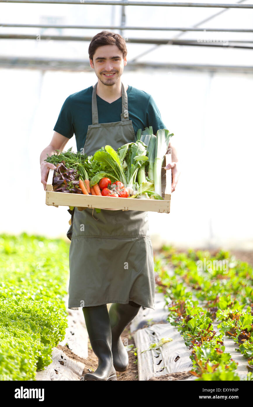 View of a Young happy farmer with a crate full of vegetable Stock Photo ...