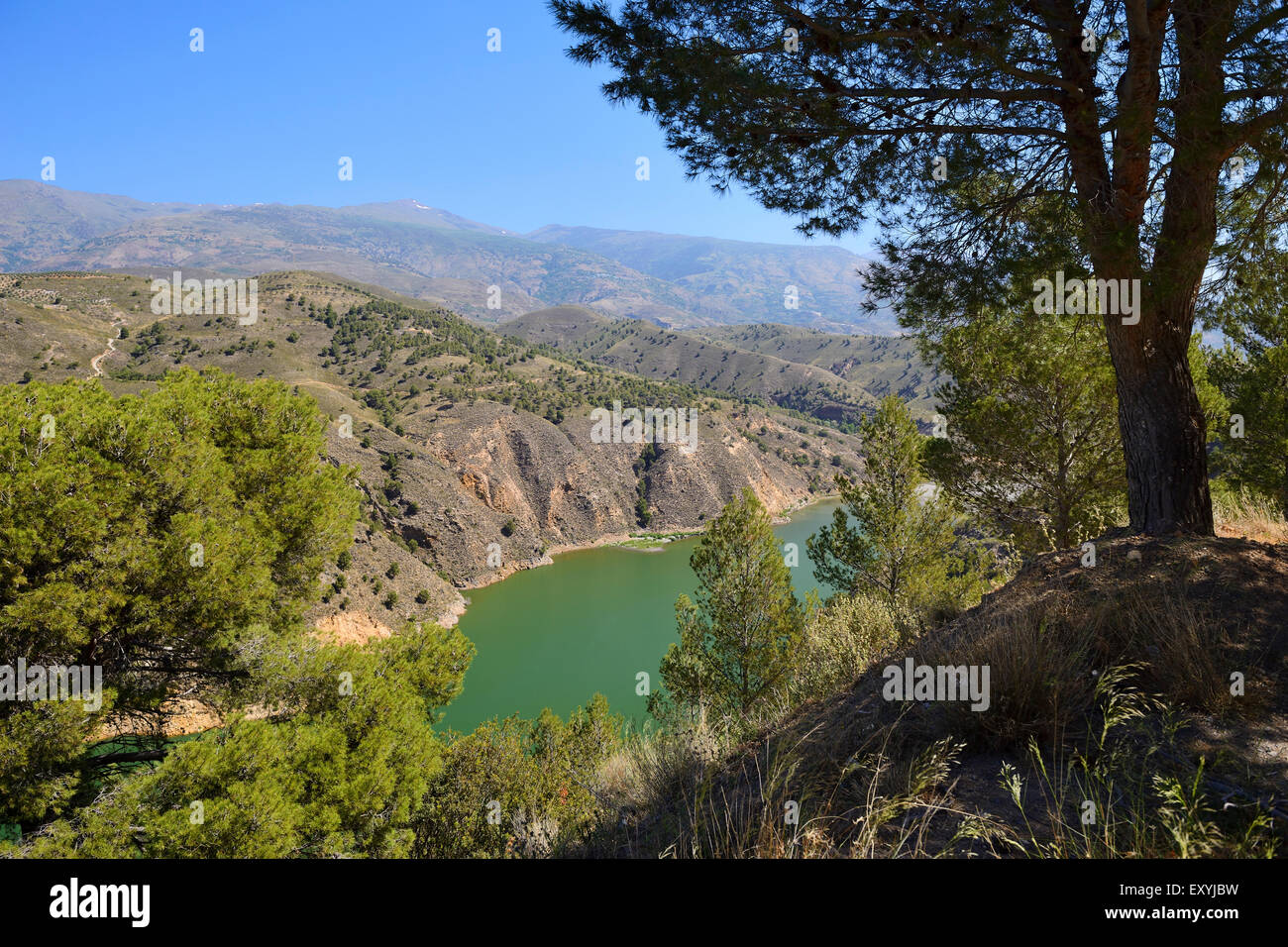 Embalse de Beznar (reservoir) upstream of Beznar dam, Andalusia ...