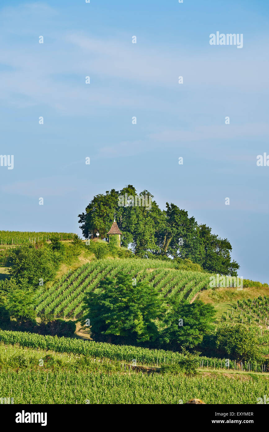 Bourdeaux france vineyard hi-res stock photography and images - Alamy