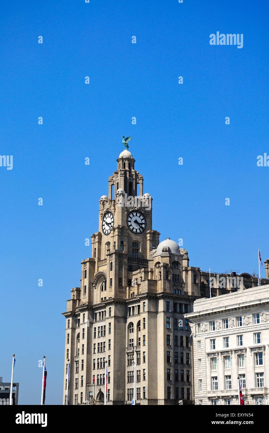 Liverpool clock tower hi-res stock photography and images - Alamy