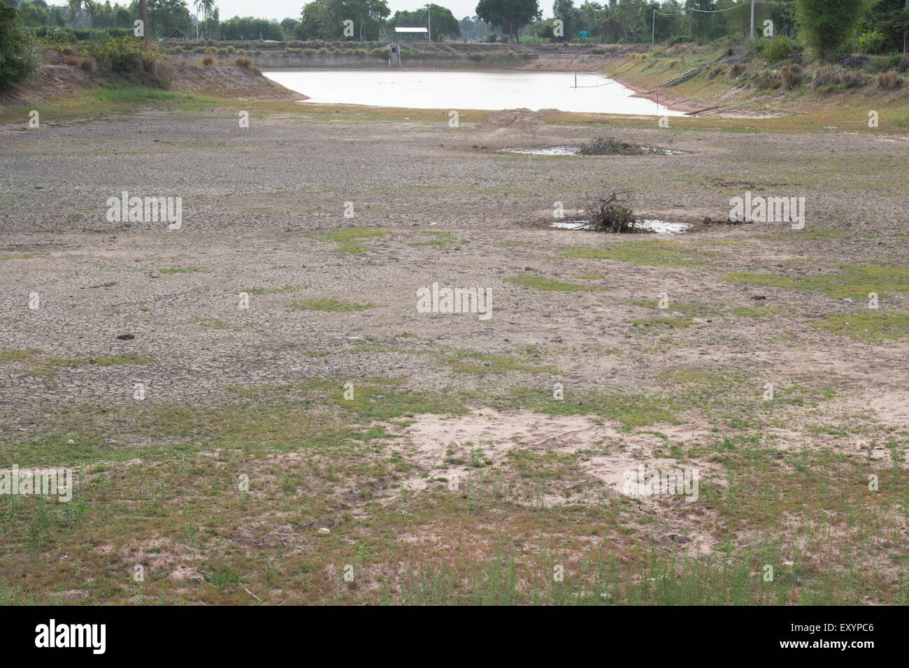 The dry cracked earth in the dried up stream bed of the pool Stock ...