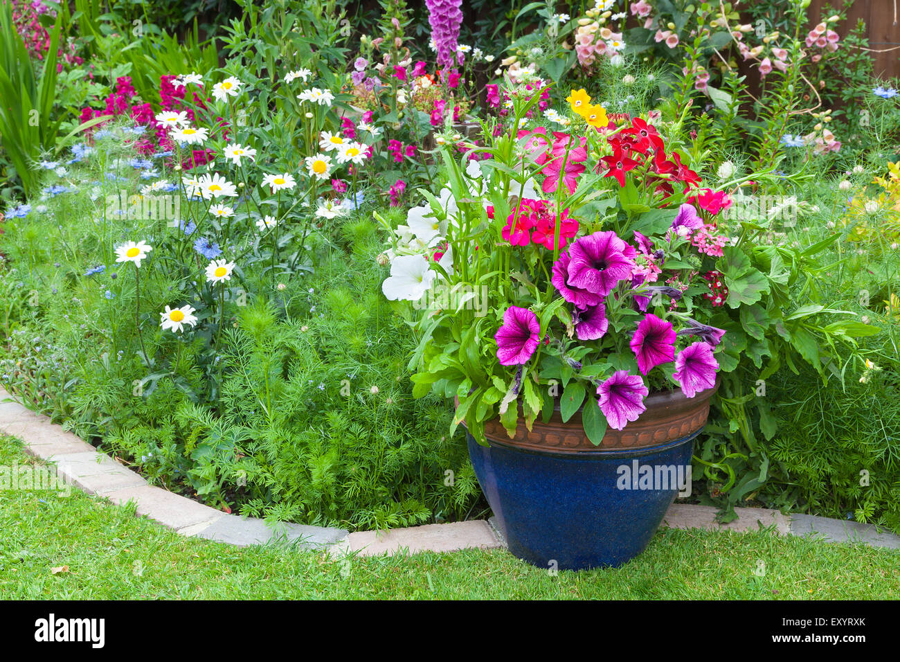 Mixed colorful flowers in a plant border Stock Photo - Alamy