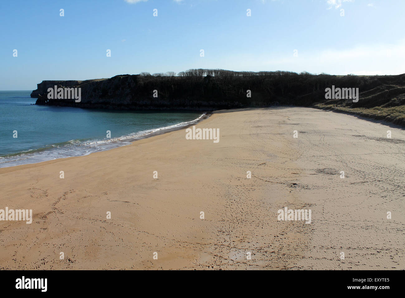 Barafundle Bay beach, Pembrokeshire, West Wales. UK Stock Photo - Alamy