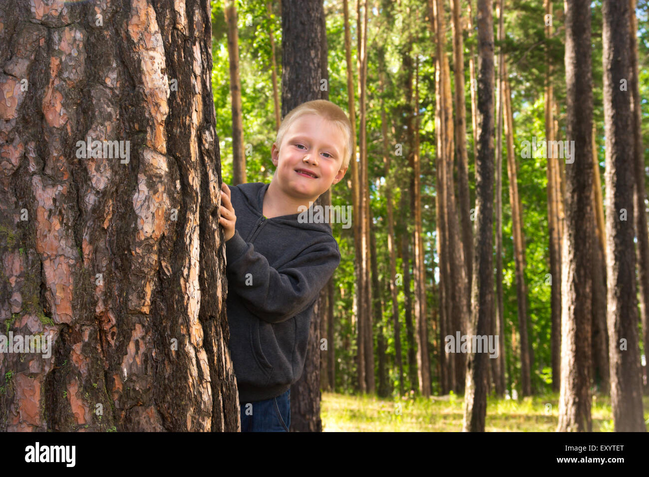 Happy beautiful child (boy) hugging pine, hiding and having fun outdoor ...