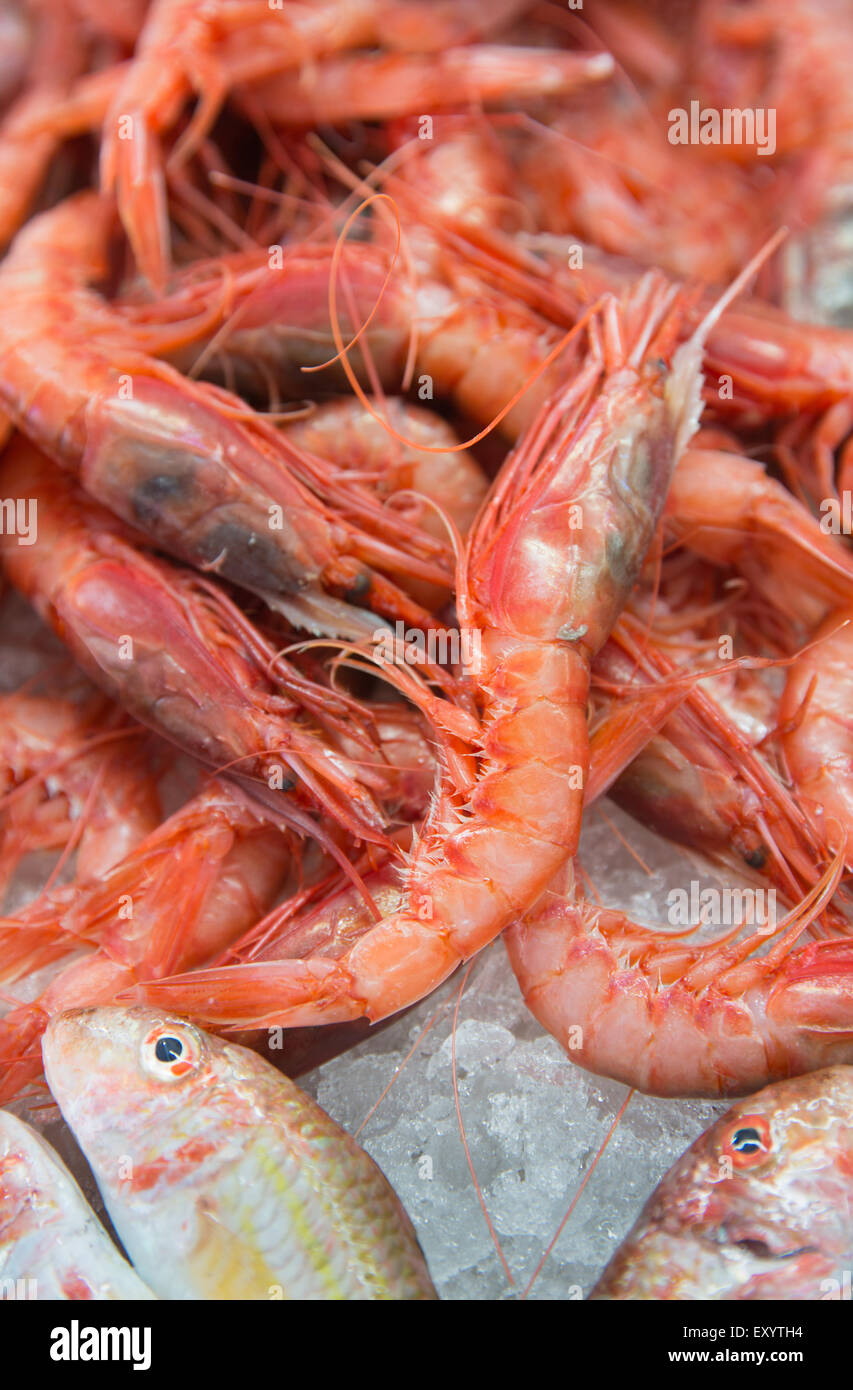 King seafood hi-res stock photography and images - Alamy
