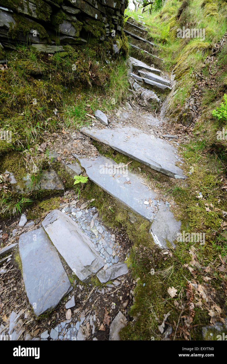 Slate steps hi-res stock photography and images - Alamy