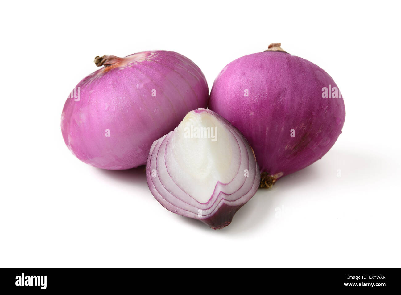 Cross section of an onion Cut Out Stock Images & Pictures - Alamy