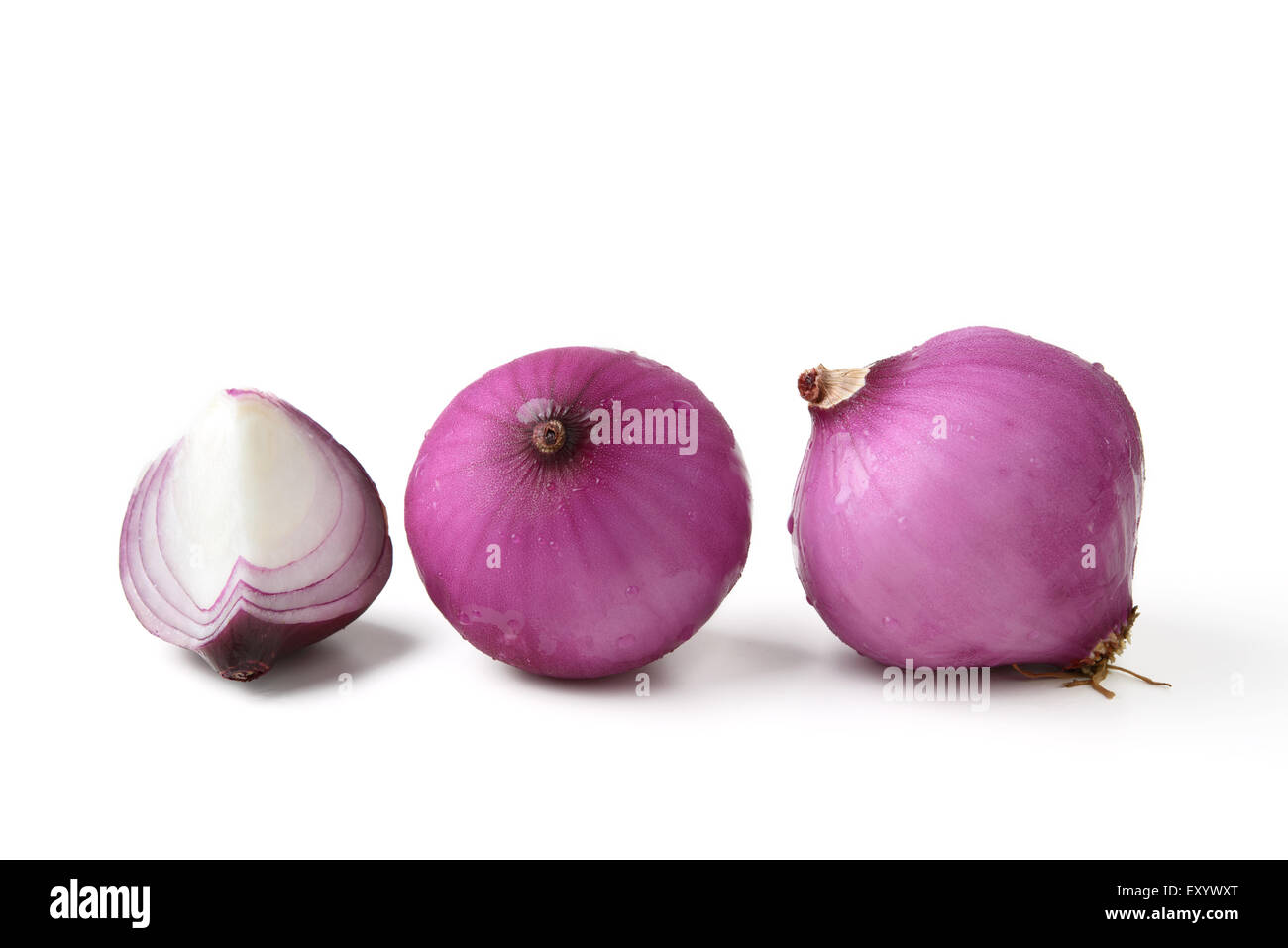 Cross section of an onion Cut Out Stock Images & Pictures - Alamy