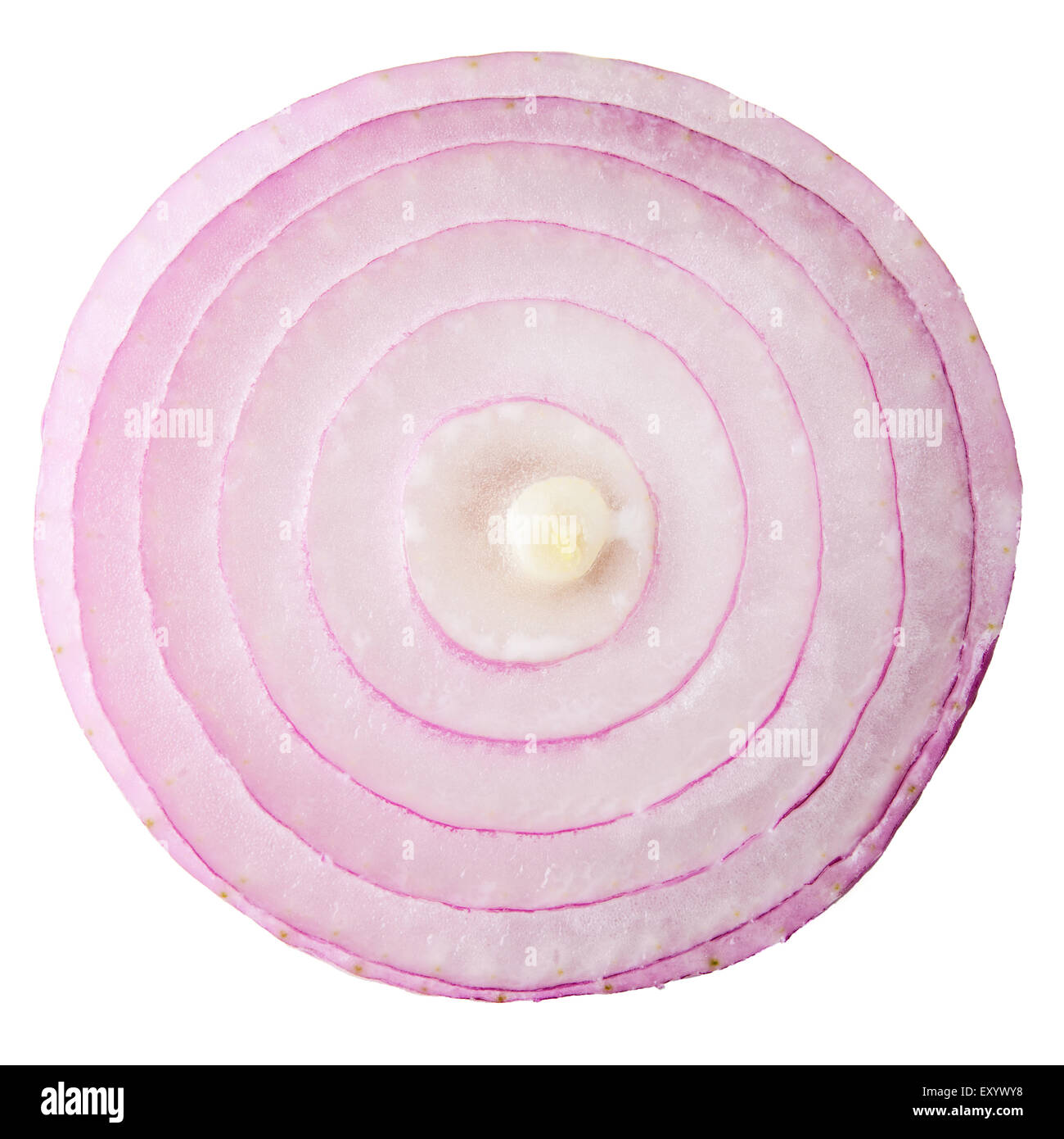 red onion slice Stock Photo - Alamy