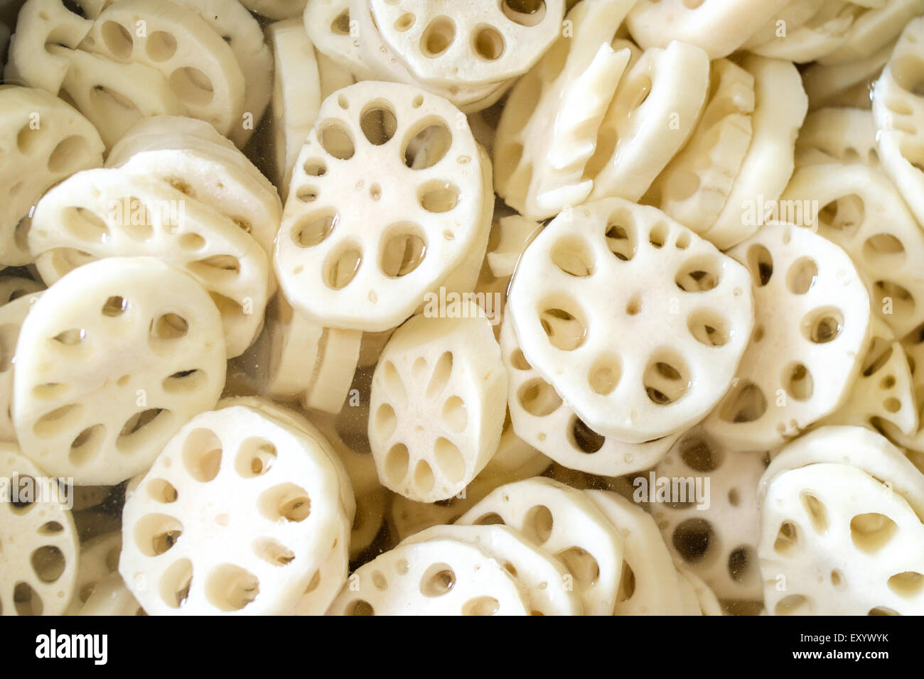 slices lotus root Stock Photo - Alamy