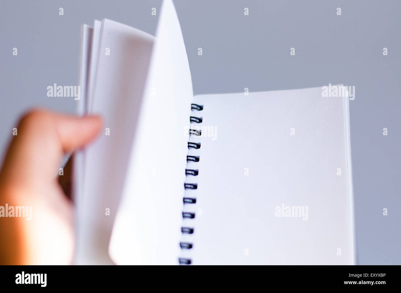 Notebook or copybook isolated on white background Stock Photo - Alamy