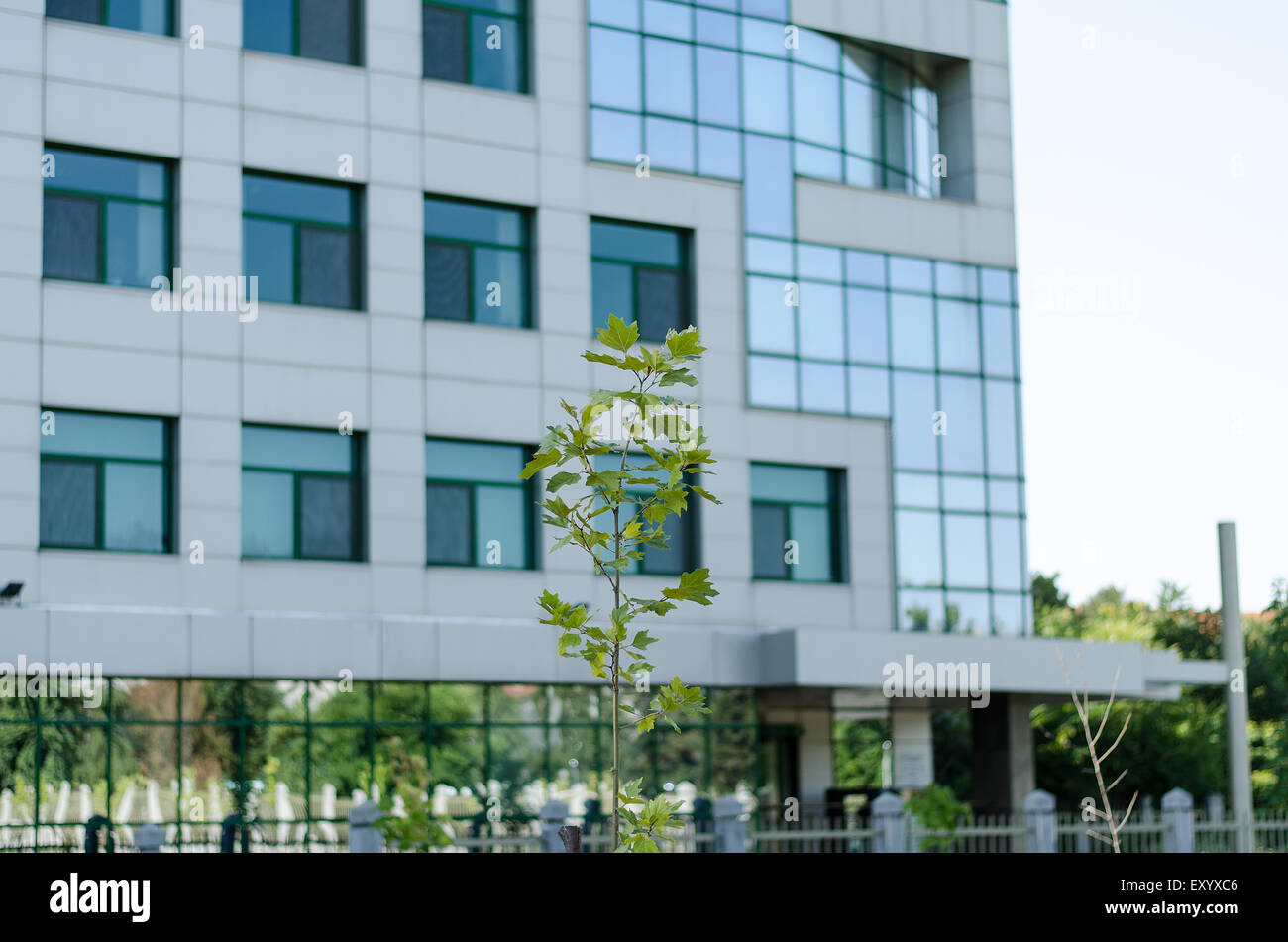 Large and modern office building new architecture Stock Photo - Alamy